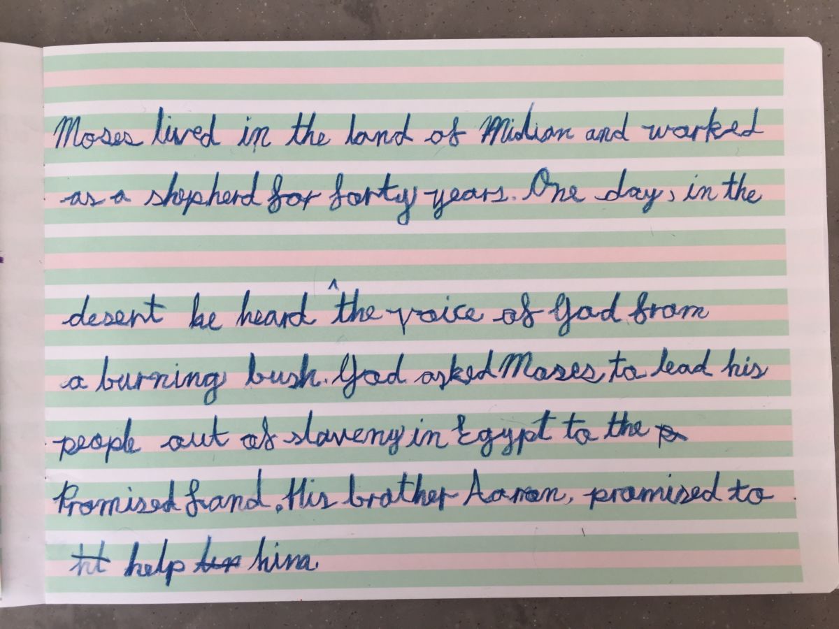 The Main Lesson for Home Learning - The London Acorn School